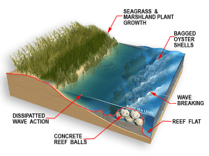 Natural & Nature-Based Features - Engineering With Nature