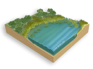 Natural & Nature-Based Features - Engineering With Nature