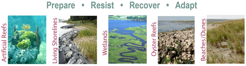 Natural & Nature-Based Features - Engineering With Nature