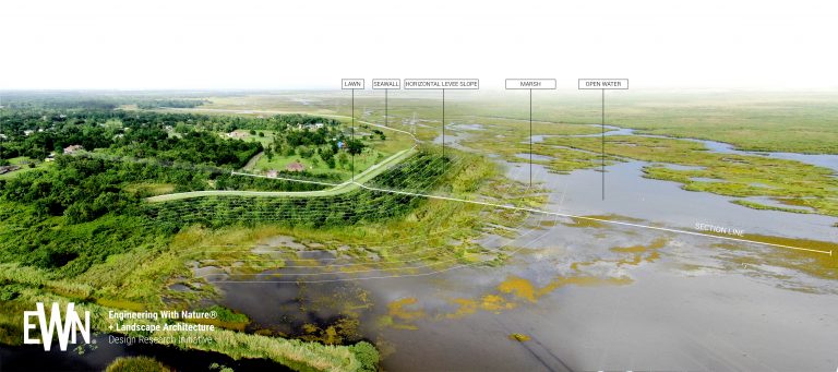 About EWN - Engineering With Nature