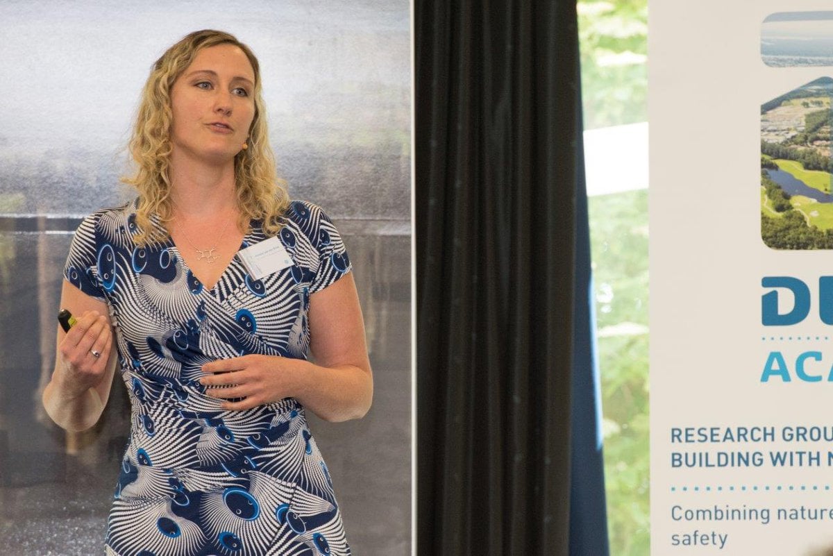 Building a Resilient Scheldt Delta - Engineering With Nature