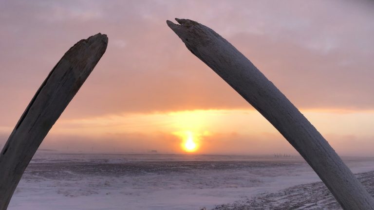 Improving Coastal Resilience in One of North America’s Oldest Inhabited ...
