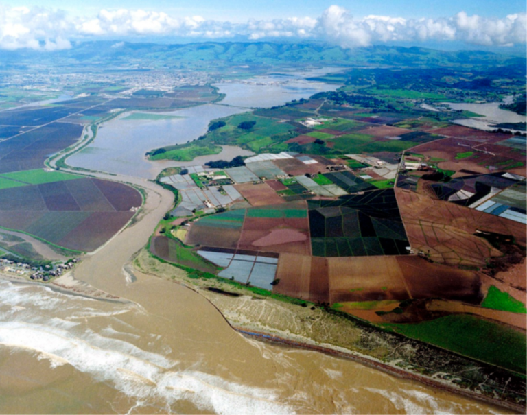 Pajaro River Flood Risk Management Project - Engineering With Nature