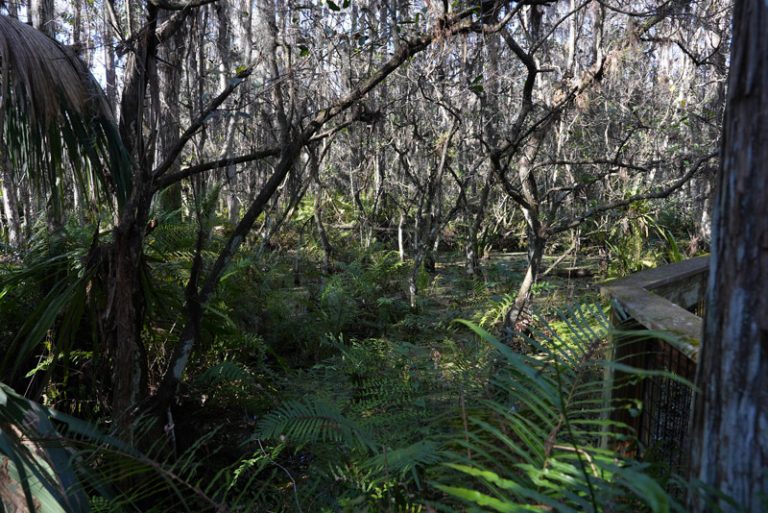 USACE South Atlantic Division - Engineering With Nature