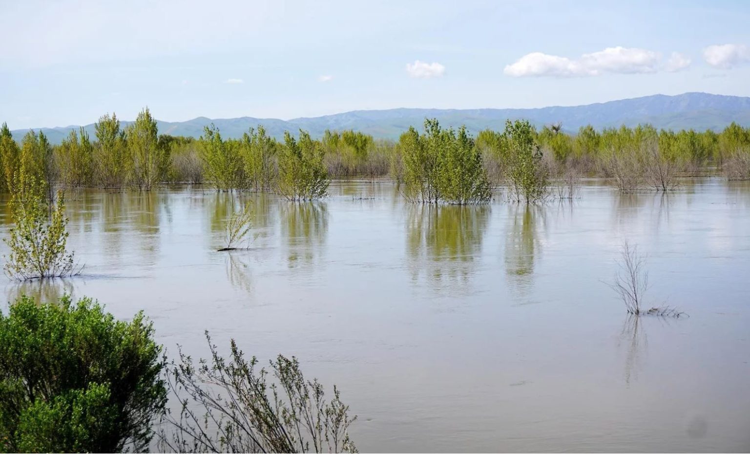 NPR Mentions the Role of Engineering With Nature in Addressing Flooding ...