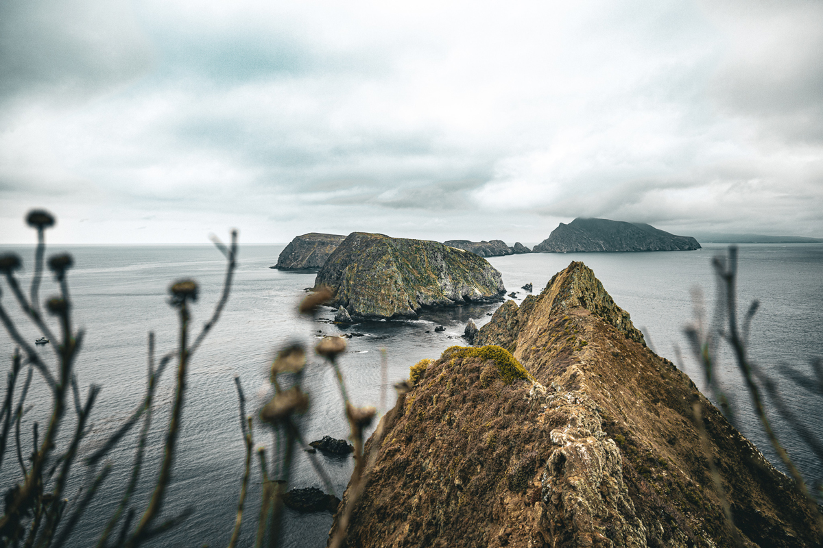 Engineering With Nature for Mission-Ready Infrastructure - Engineering ...