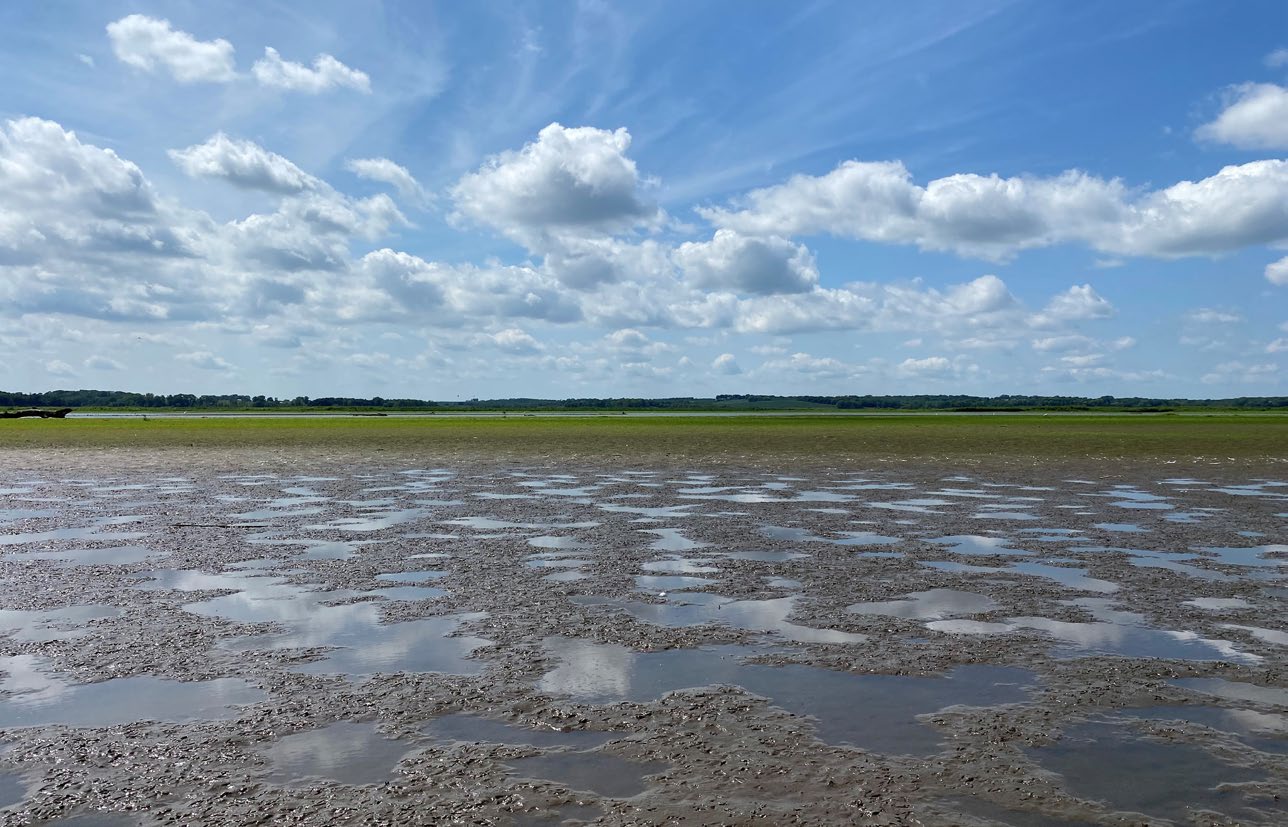 Des Moines River - Engineering With Nature